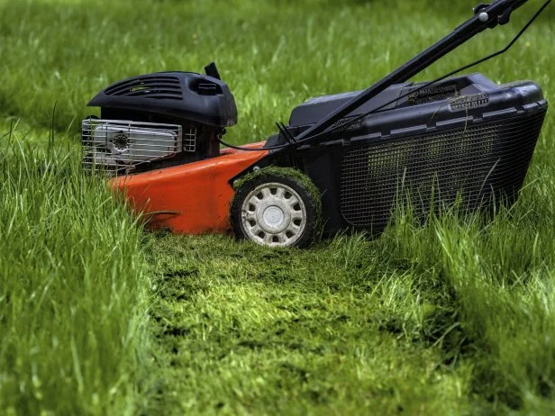 Benefits and Concerns About No-Mow May | HGTV