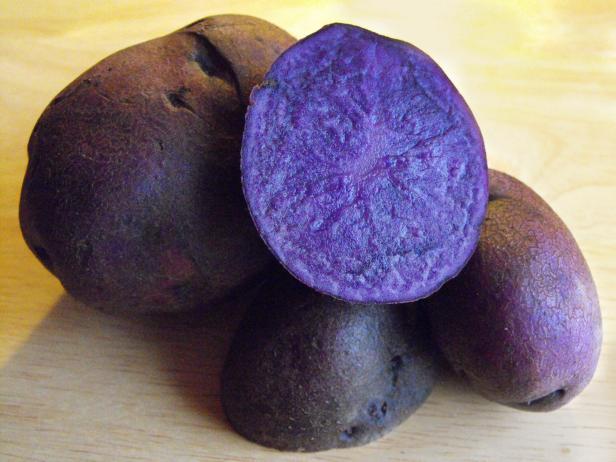 Growing Blue Potatoes | DIY