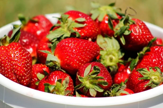 How to Freeze Fruits, Vegetables and Dairy | HGTV