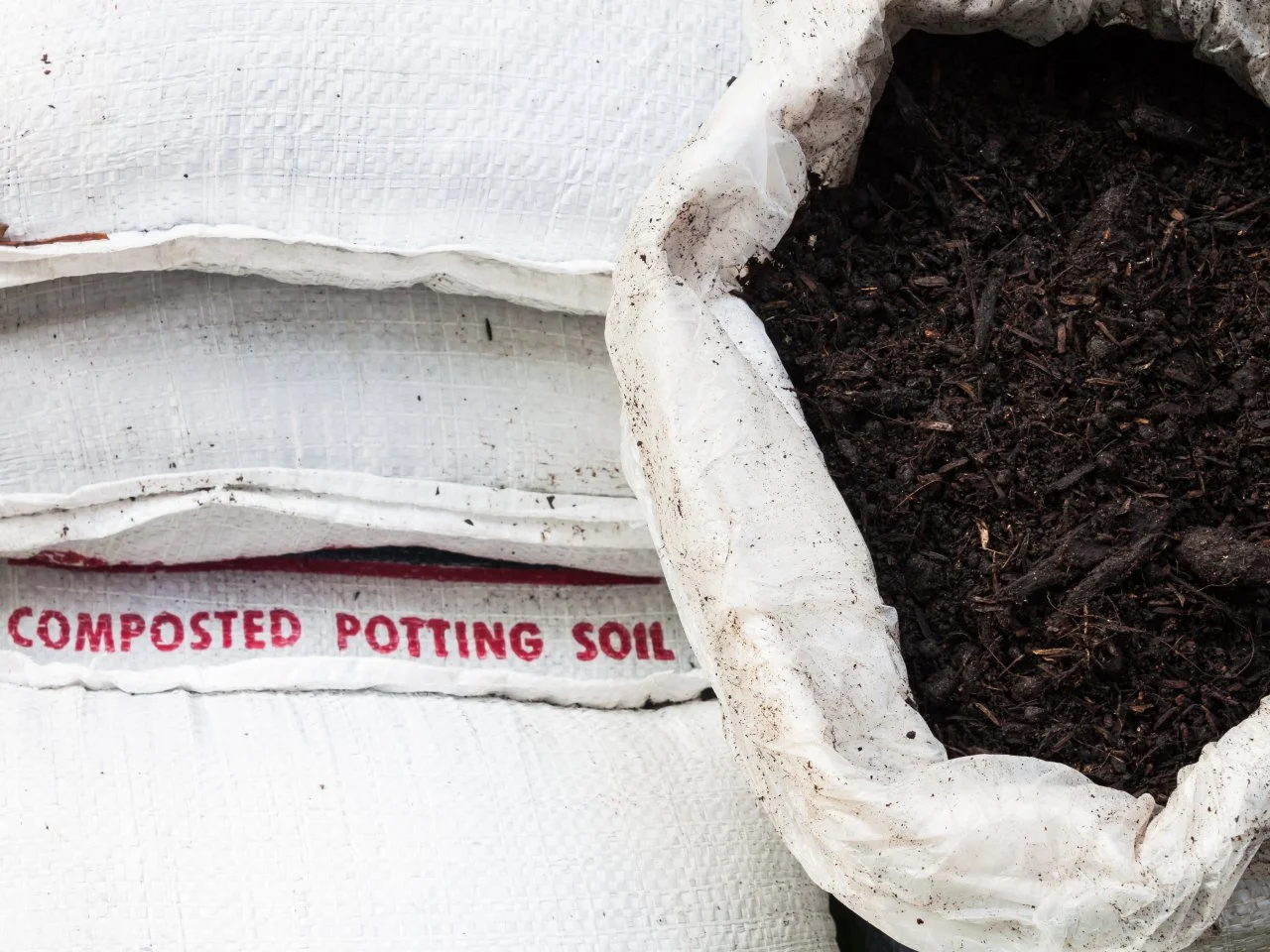 Potting Soil Vs Garden Soil: What's The Difference And Which To Use