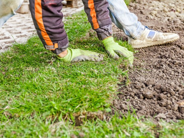 How to Create a Level Lawn | HGTV